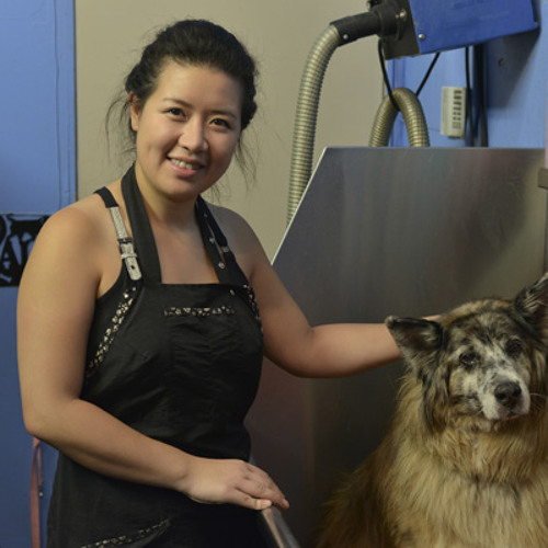 Stream Ada Zhang by KCET Digital | Listen online for free on SoundCloud