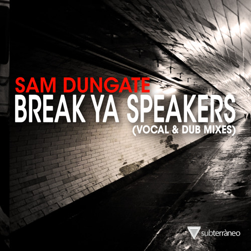Stream Break Ya Speakers ( low quality clip) by Sam Dungate | Listen ...