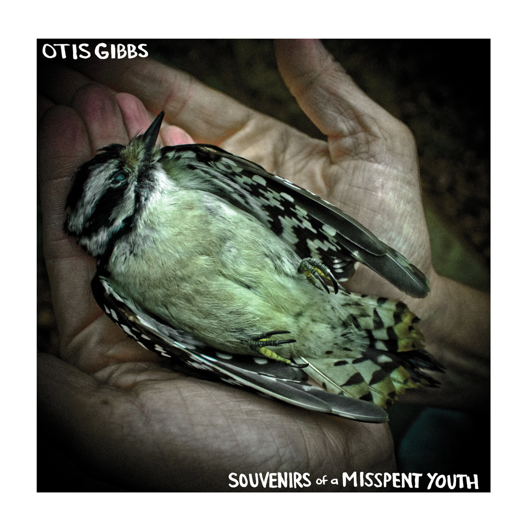 Stream No Rust On My Spade by otisgibbs | Listen online for free on ...