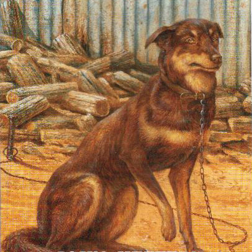 Stream Pup by John Heffernan Books | Listen online for free on SoundCloud