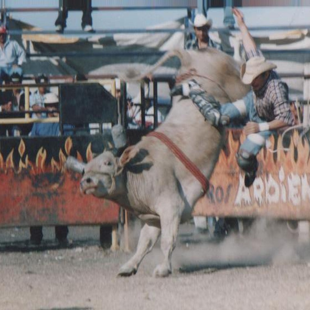 Stream Toros para un buen Jaripeo by EstudioR7 | Listen online for free ...