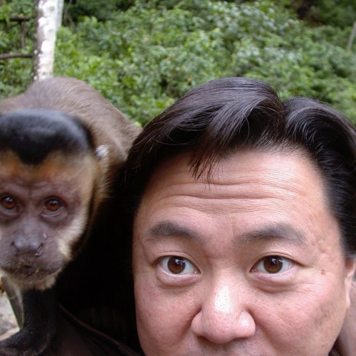 Stream Featured CWA Speaker: Sanho Tree by Radio 1190 | Listen online ...