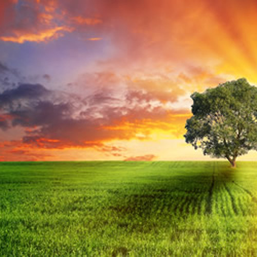 Stream Psalm 128 by Steve Leeder | Listen online for free on SoundCloud