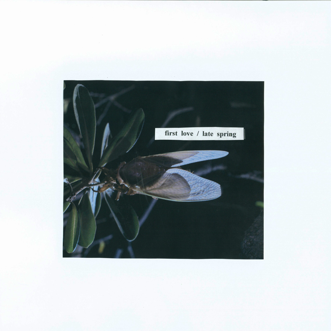 Stream Mitski :: First Love / Late Spring by Double Double Whammy ...