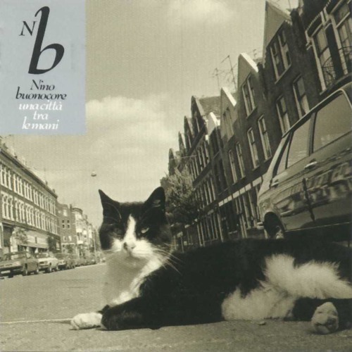 Stream Nino Buonocore - Cose importanti from "Una città tra le mani ...