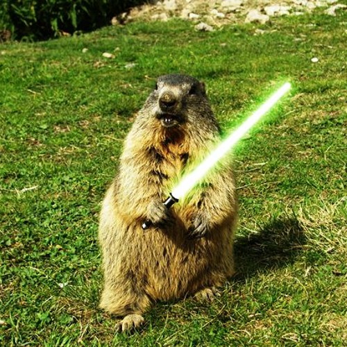 Stream Alan & Steve (Dirty Bounce) (Sandra Dee Original ft. BBC animals ...