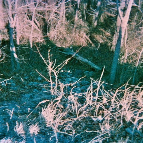 Stream Victoria Marie Candra | Listen to Dreamy Babes playlist online ...
