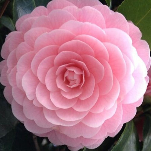 Stream River Flows in You(Yiruma) - Jason Caling cover by Jason Caling | Listen online for free ...