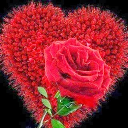 Stream Idhar Dekho Udhar Dekho @ IndiaMp3.Com by Omar humeri | Listen ...