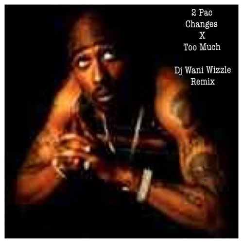 Stream 2 Pac Changes X Too Much(Que)- Dj Wani Wizzle Remix by DJ Wani ...