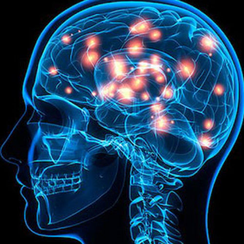 Stream My Own Good Life (sample) by Bartledooby | Listen online for ...