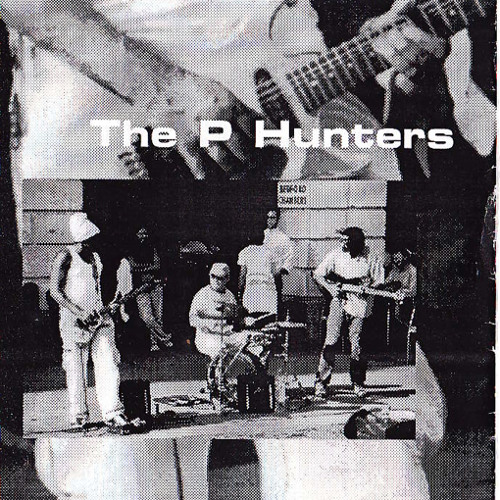 Stream Roller Coaster by The P Hunters | Listen online for free on ...