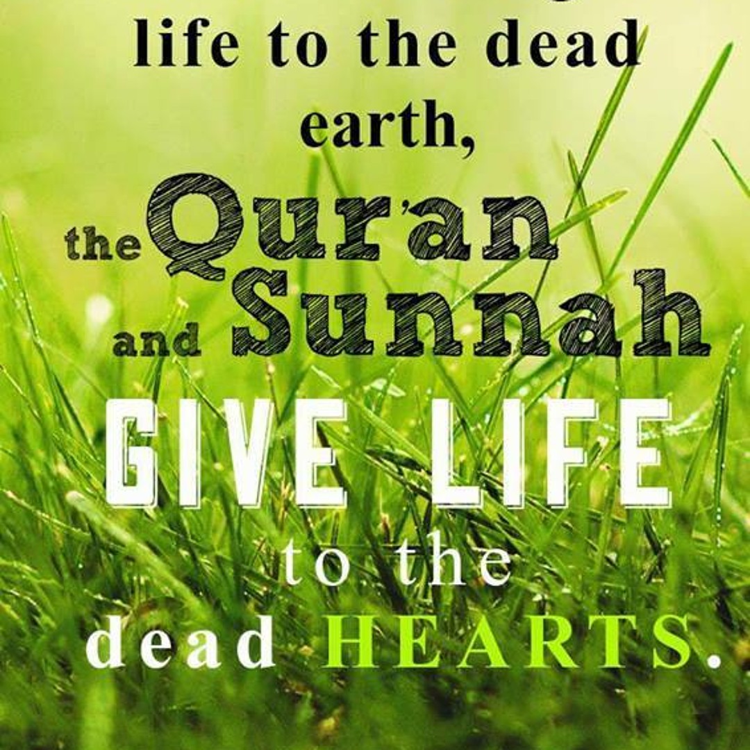 Stream Teacher Of Tariq Jamil Shiekh Omer (rahmatullah Alieh). by ...