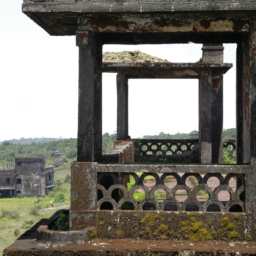 Stream Animals (ft. Kari Kirkland) by The Sunray Estate | Listen online ...