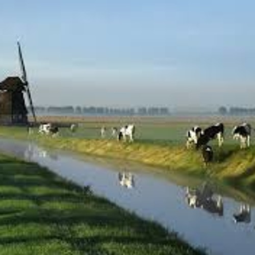 Stream AFSCHEID VAN HOLLAND by Andres | Listen online for free on ...