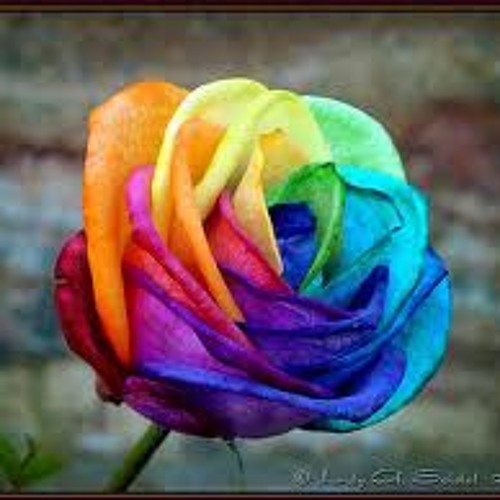 Stream te voy a besar (alex marcos sara fructuoso gabriel varona) by ...