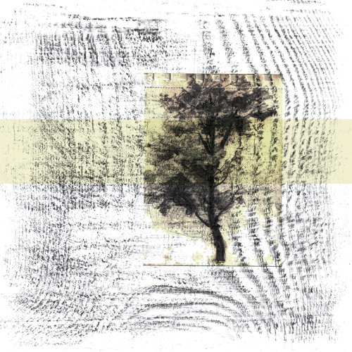 Stream Aspy by Sofia Chi | Listen online for free on SoundCloud