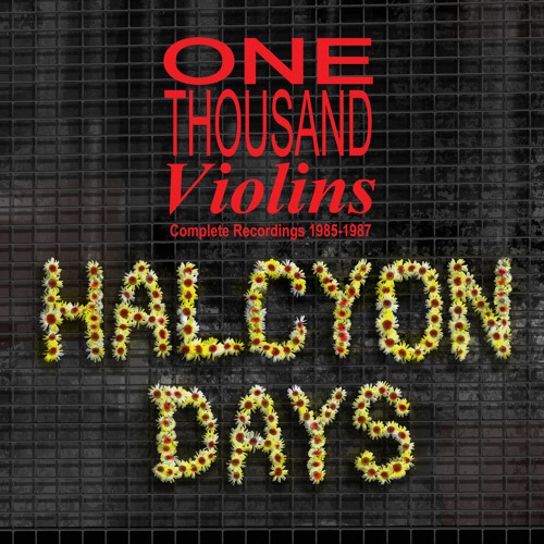 Stream "Please Don't Sandblast My House" One Thousand Violins by ...