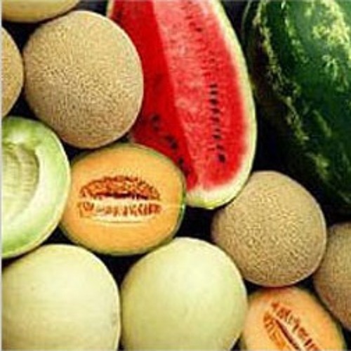 Stream Melon Sound | Listen to melons's choice (Dance, Hip-Hop, Rap ...