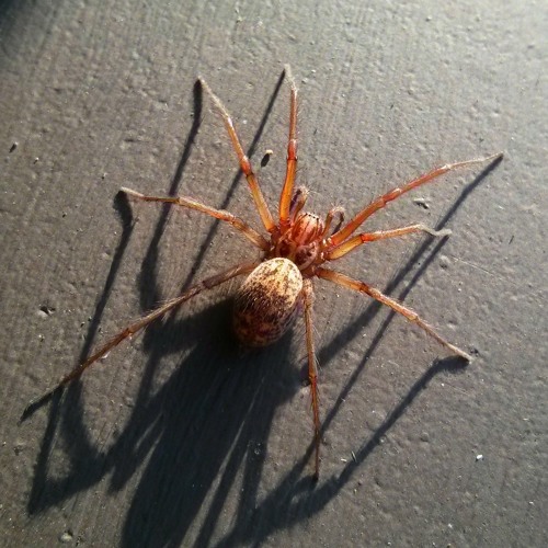 Stream Catherine Creaney | Listen to Chris music playlist online for ...