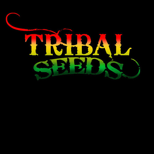 Tribal Seeds Tribal Seeds