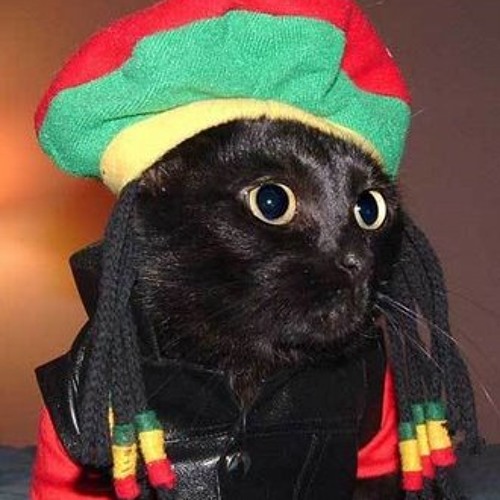 Rasta Cat
