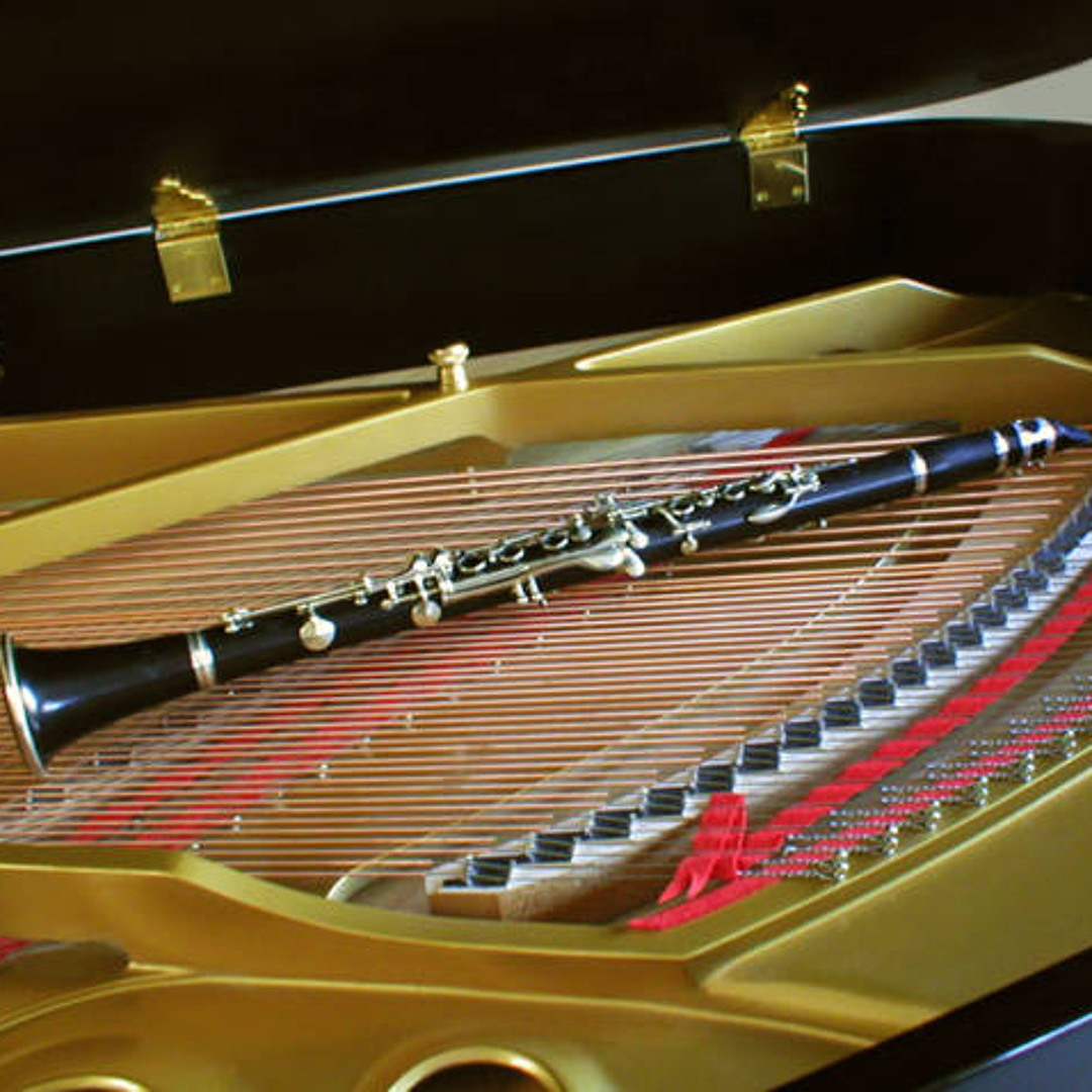 Stream Clarinet Sonata Mvt. I - Allegro ma non Troppo by Meg Connolly ...