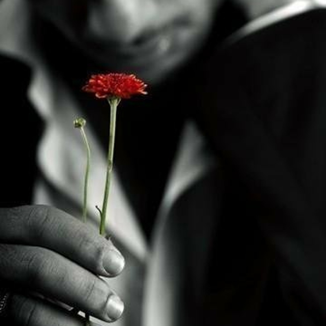 Stream Aminath Yooha | Listen to Ali Rameez Songs playlist online for ...