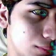 Ahmed Singer's Instagram, Twitter & Facebook on IDCrawl