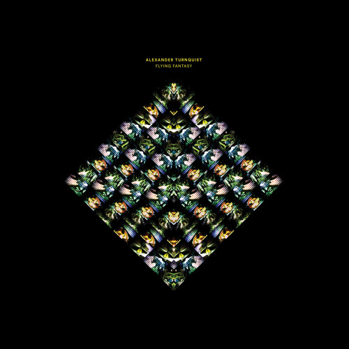 Stream Alexander Turnquist - Finding the Butterfly by Western Vinyl ...