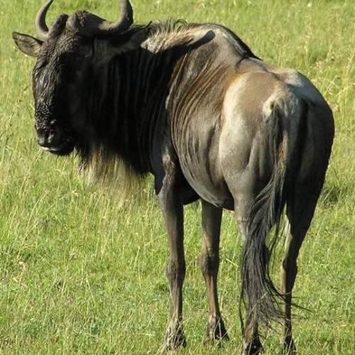 Stream Bay&Dupont by Jesper Dupont | Listen online for free on SoundCloud