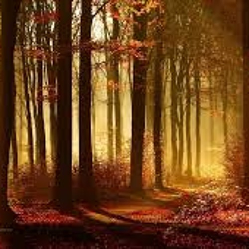 Stream spoeki | Listen to Check out Dark Prog/Psy Forest etc playlist ...