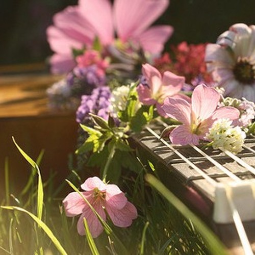 Stream Daughters - John Mayer - Cover by Sammi Broad | Listen online ...