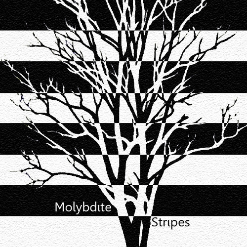 Stream Natural Selection by Molybdite | Listen online for free on ...