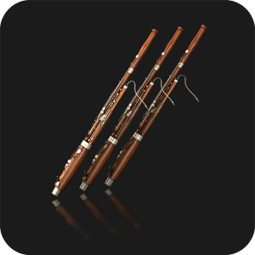 Bassoon Range