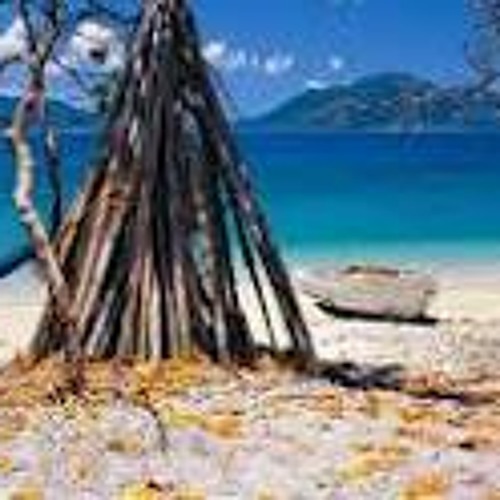 Stream Lysa Bulivou | Listen to Nasio Domoni playlist online for free ...