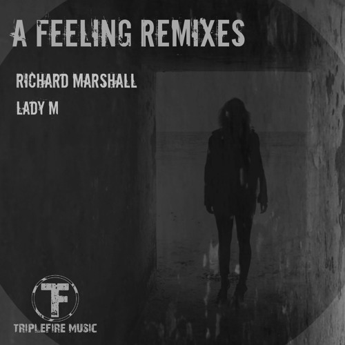 Stream Lady M - A Feeling (Marshall's 'Moving House' Mix) by Richard ...