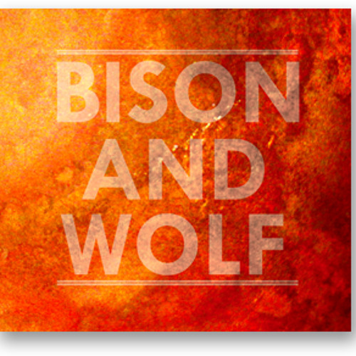 Stream Bison & Wolf 'Take' by David Tolan(producer) | Listen online for ...