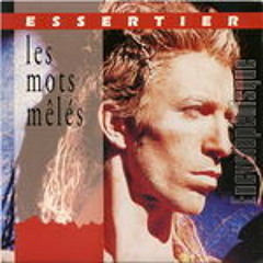 Erika Wikstrom's Instagram, Twitter & Facebook on IDCrawl