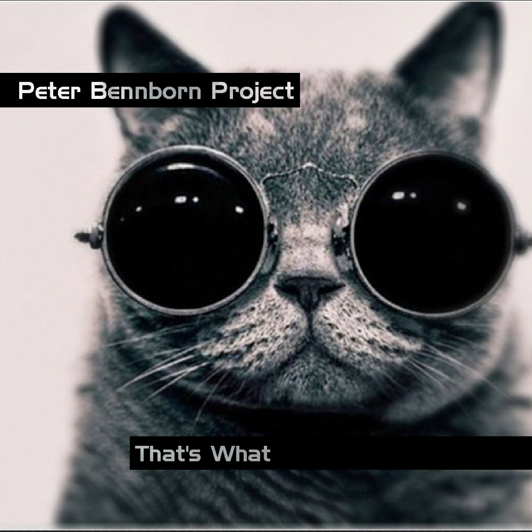 Stream That's What (ft. Derek Cornett, Joe Drzewiecki, Daniele Turani ...
