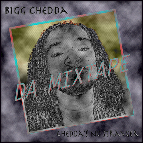 Stream 05 - Turd Da Poop Stain by Bigg Chedda | Listen online for free ...