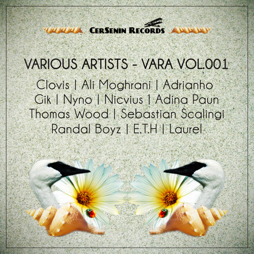 Stream Sebastian Scalingi - Barack Osama by CerSenin Records | Listen ...