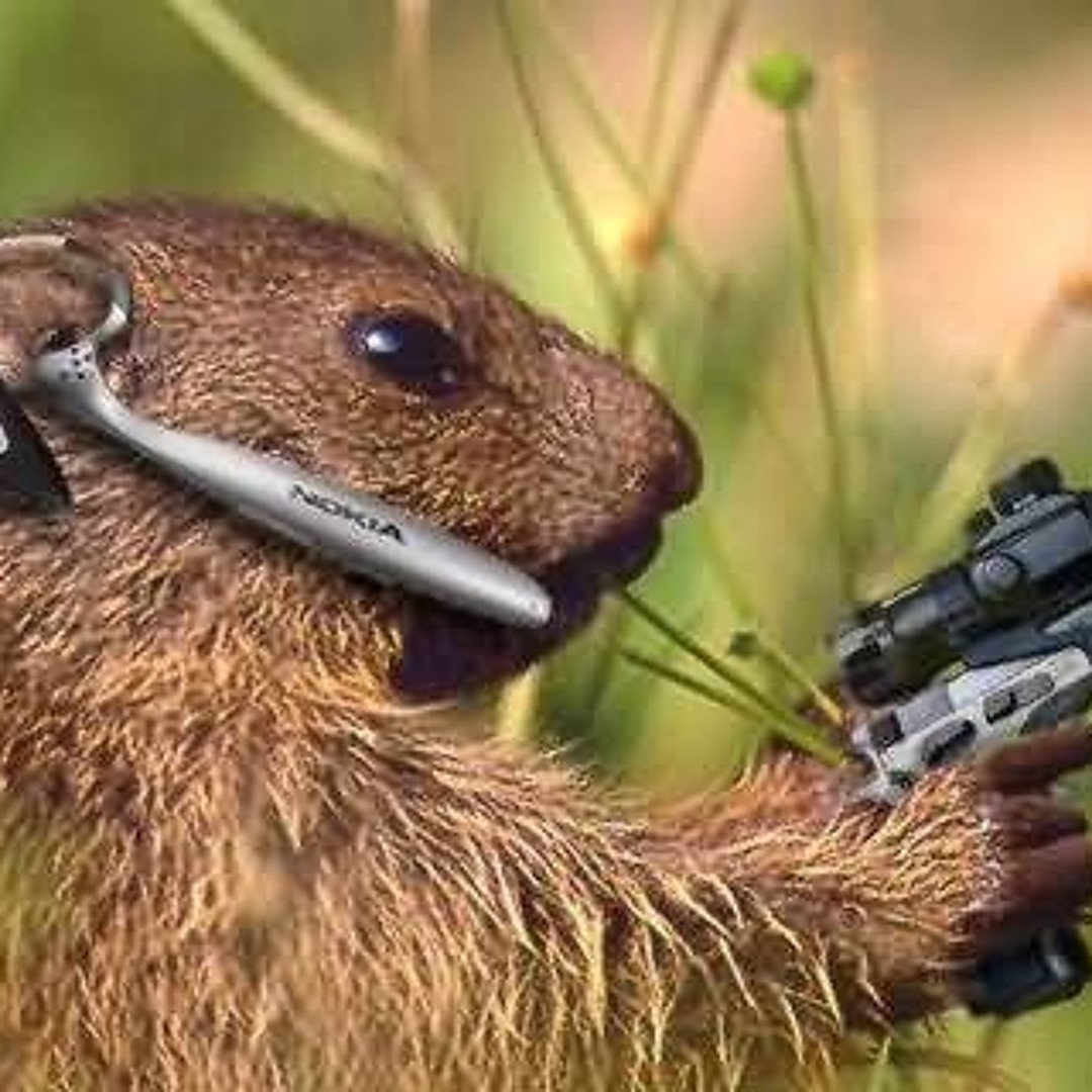 Stream Future Devast - RickProd FT eLLOY MAX by Elloy Max | Listen ...