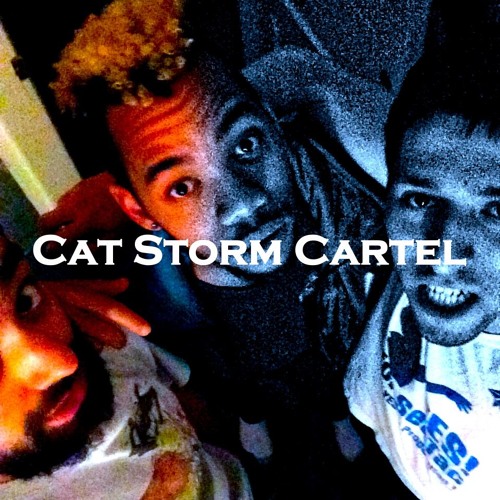 Stream Cat Storm Cartel - Perfect feat. ERG by Cat Storm Cartel ...