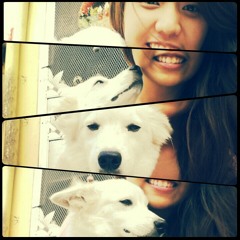 Dawn Chu's Instagram, Twitter & Facebook on IDCrawl