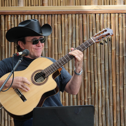 Stream This Wounded Heart by Dave Roppolo | Listen online for free on ...