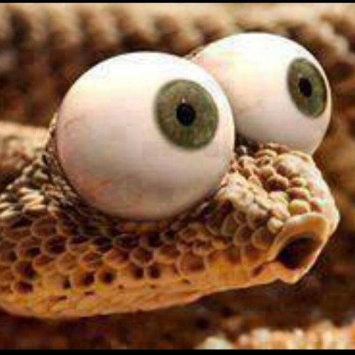 Stream Supreme Wordz | Listen to Prime Colabo playlist online for free on SoundCloud