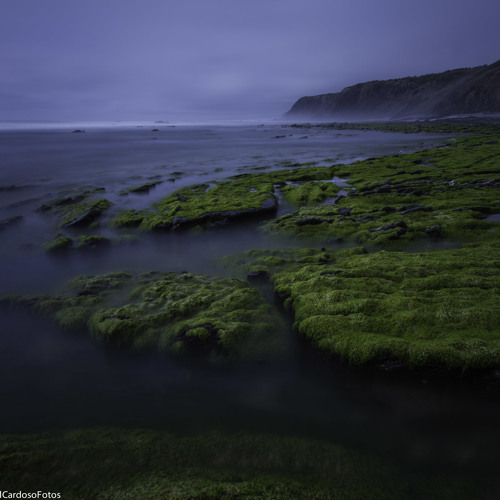 Stream Simbolo 77 És A Minha Vida by miguel-cardoso | Listen online for ...