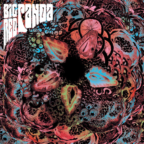 Stream Big Red Panda - Brain Mapping by bigredpanda | Listen online for ...