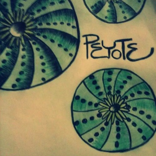 Stream Steve ..! by Itzel Chavarria Garcia | Listen online for free on ...